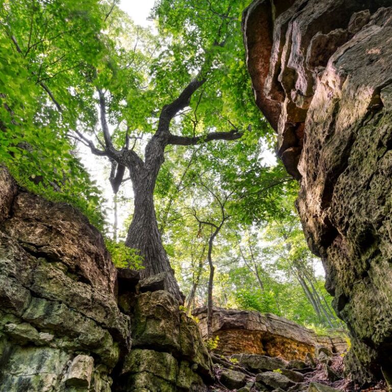 The 12 Best Backroads in Wisconsin for taking long scenic Drives - Road ...